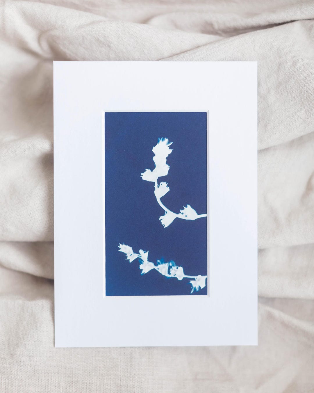 Original Floral Cyanotype: Ready to Frame - Etsy