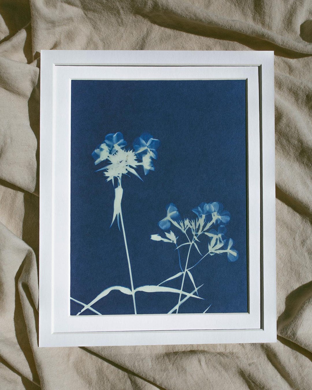 Wildflower Cyanotype Art Print: Ready to Frame - Etsy