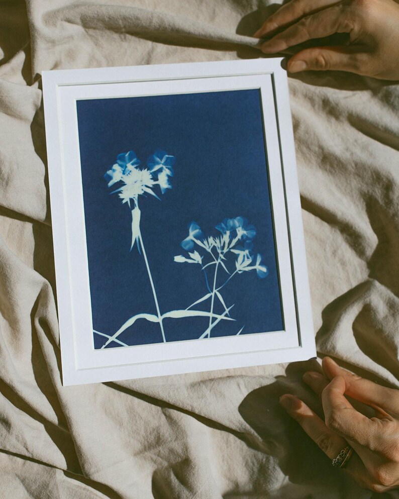 Wildflower Cyanotype Art Print: Ready to Frame - Etsy