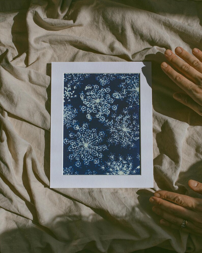Snowflakes Queen Anne's Lace Cyanotype Original Art Ready to Frame - Etsy