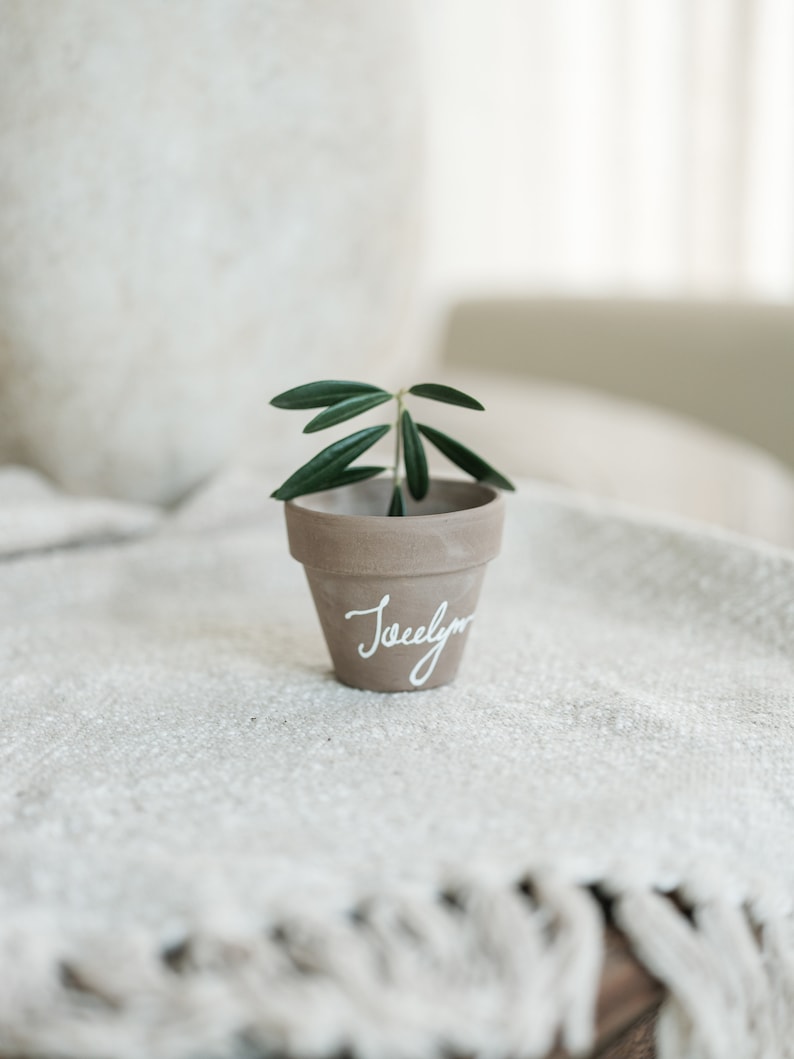 Personalized Hand-painted Mini Flower Pots - Custom Name Pots - Place ...