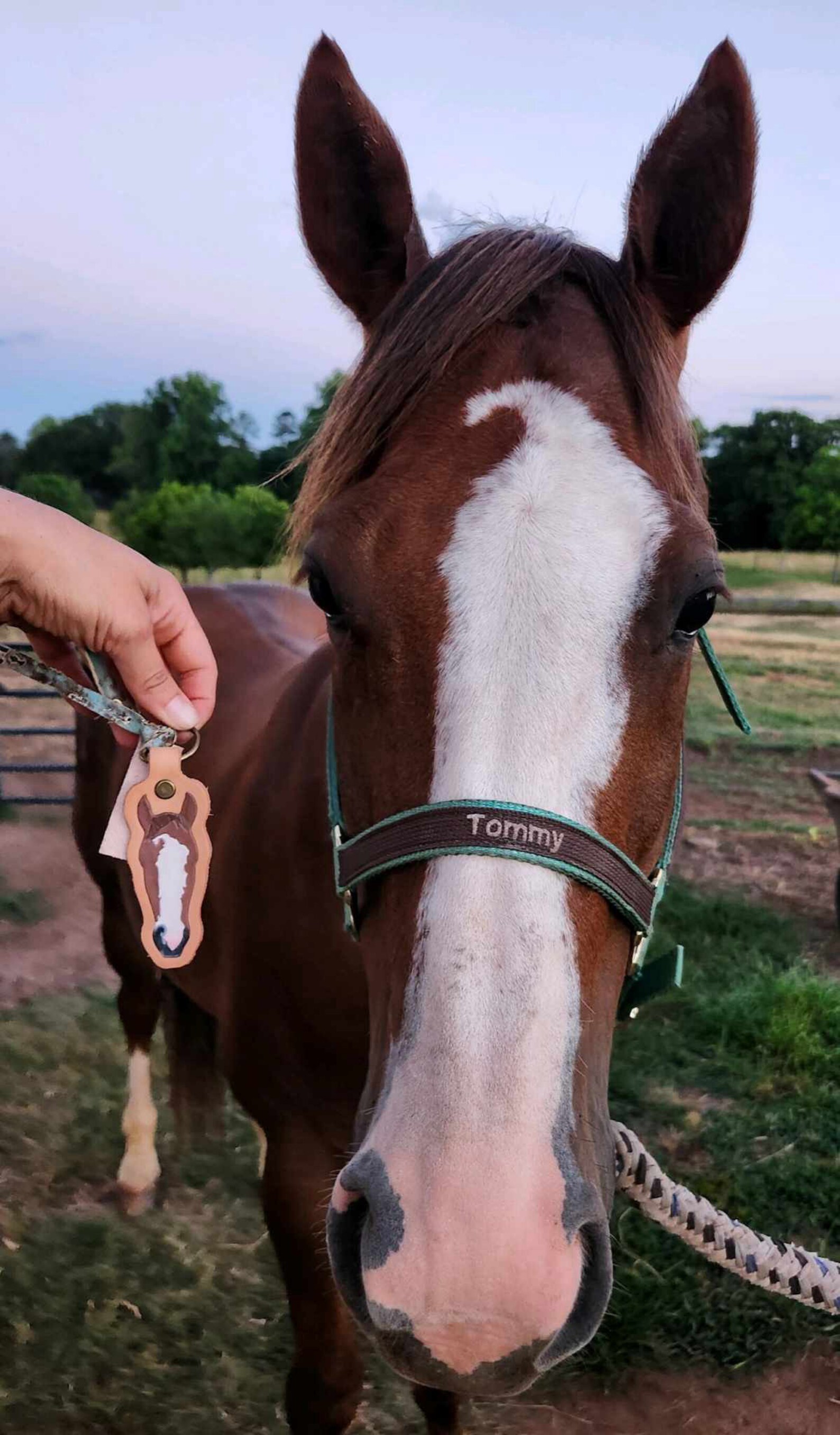 Custom Leather Horse Head Keychains - Etsy