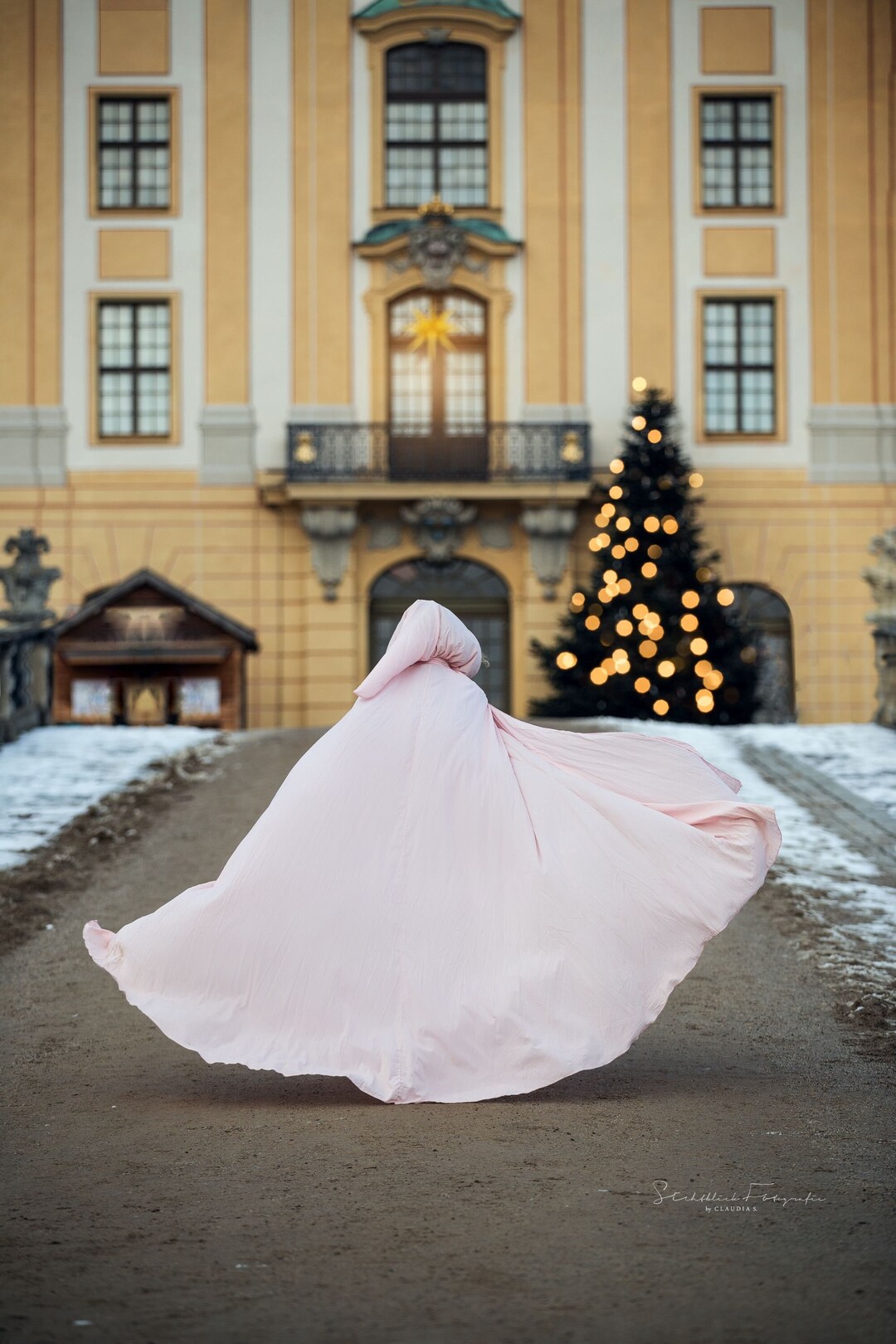 Hooded Cape Cinderella, Elven Fantasy Cape, Wedding Cape Veil, Medieval ...
