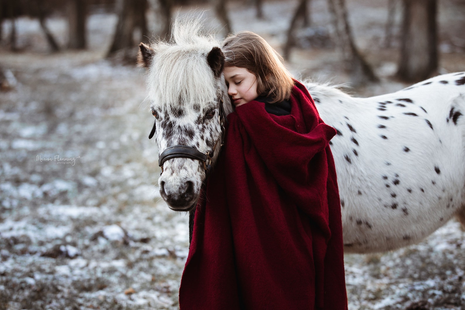Red Riding Hood Cape, Little Red Riding Hood, Long Wool Coat, Capelet ...