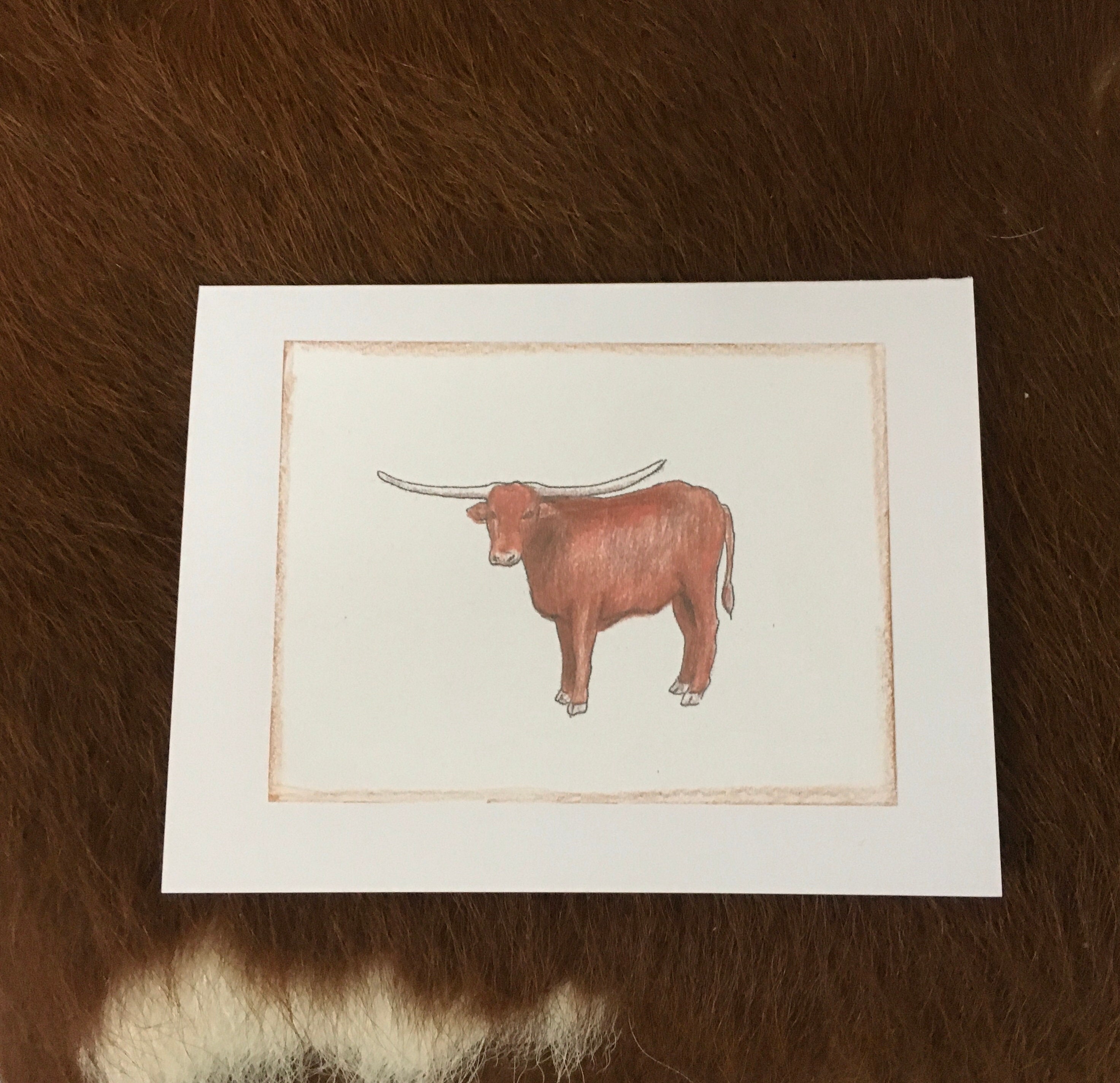 Longhorn Note Cards - Set of 3 - Etsy