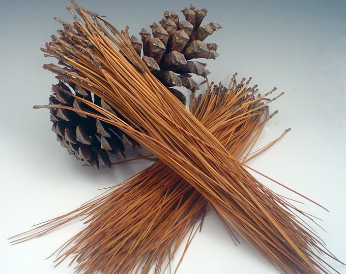 Longleaf Pine Needles- One 2 Ounce Bundle - Etsy
