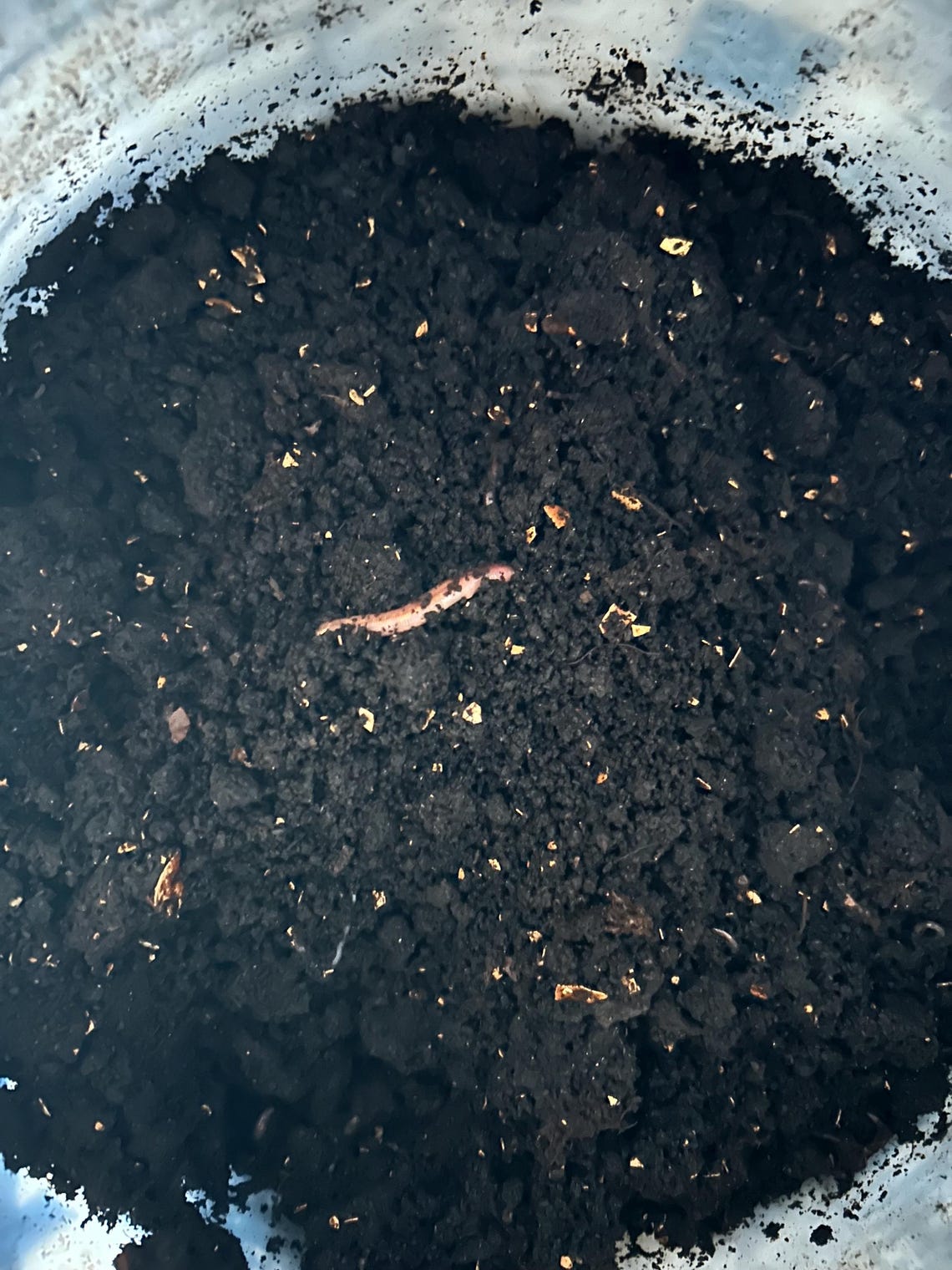 DIY 3-bucket Worm Bin Plans – Easy Composting System – Digital Download ...