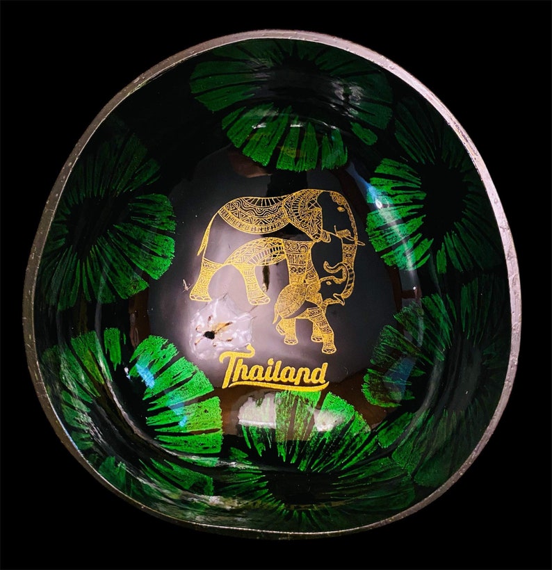 Nature Coconut Bowl,hand Painted Coconut Bowl ,colorful Coconut Shell ...