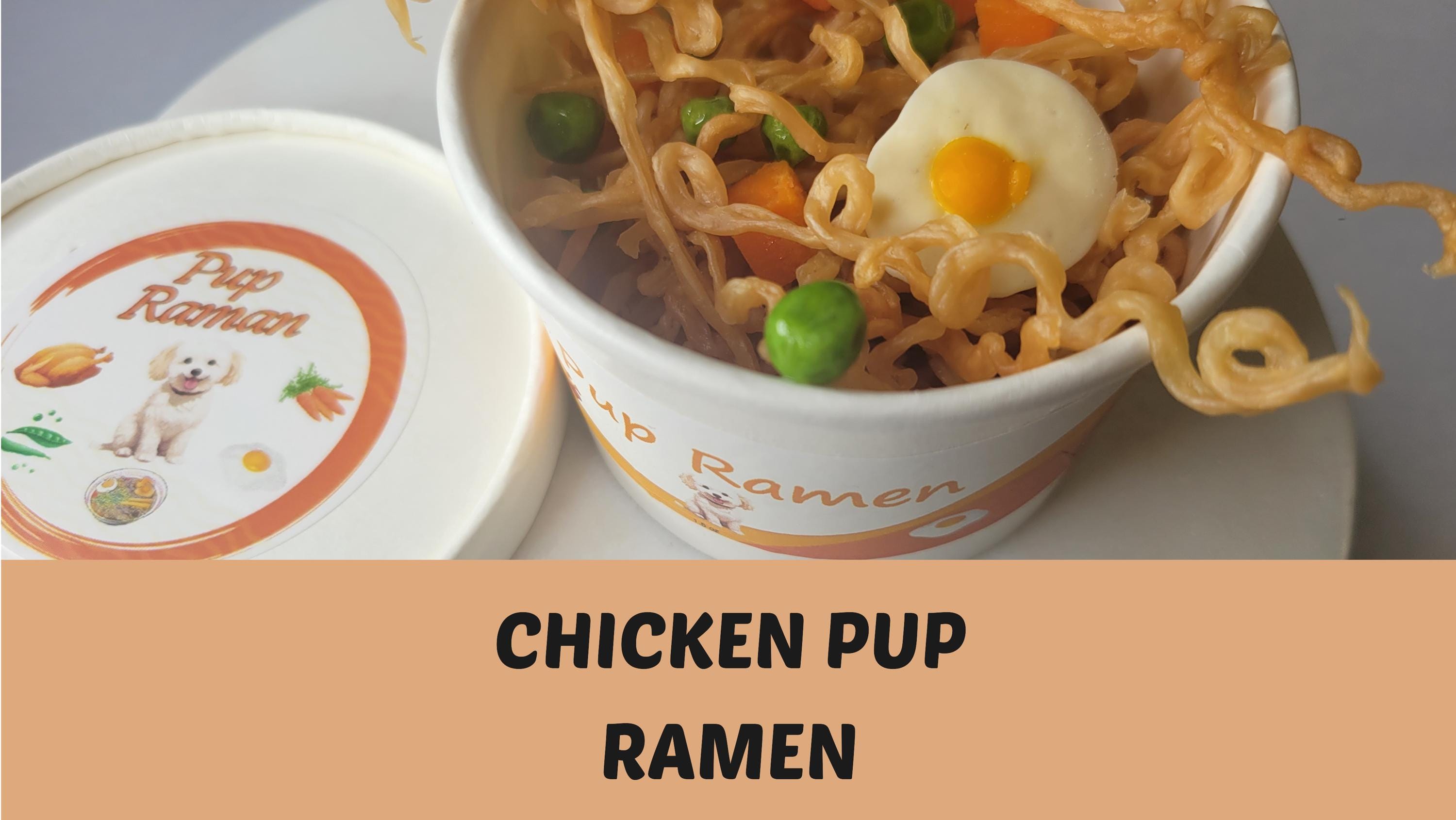 Pup Ramen!!! Treat Your Dog to a Gourmet Experience With Pup Pastries ...