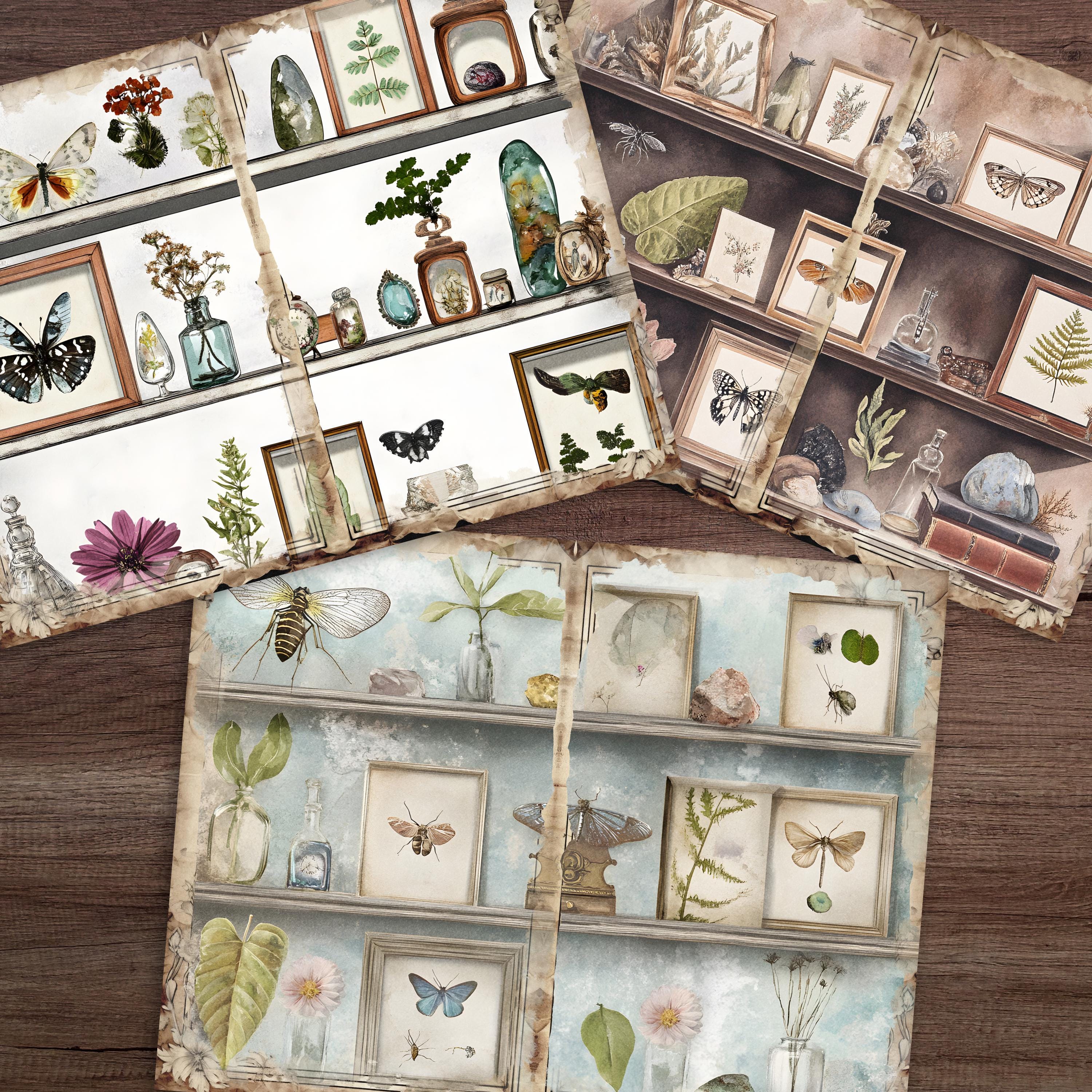 Cabinet of Curiosities Junk Journal Papers, Printable Digital Pages ...