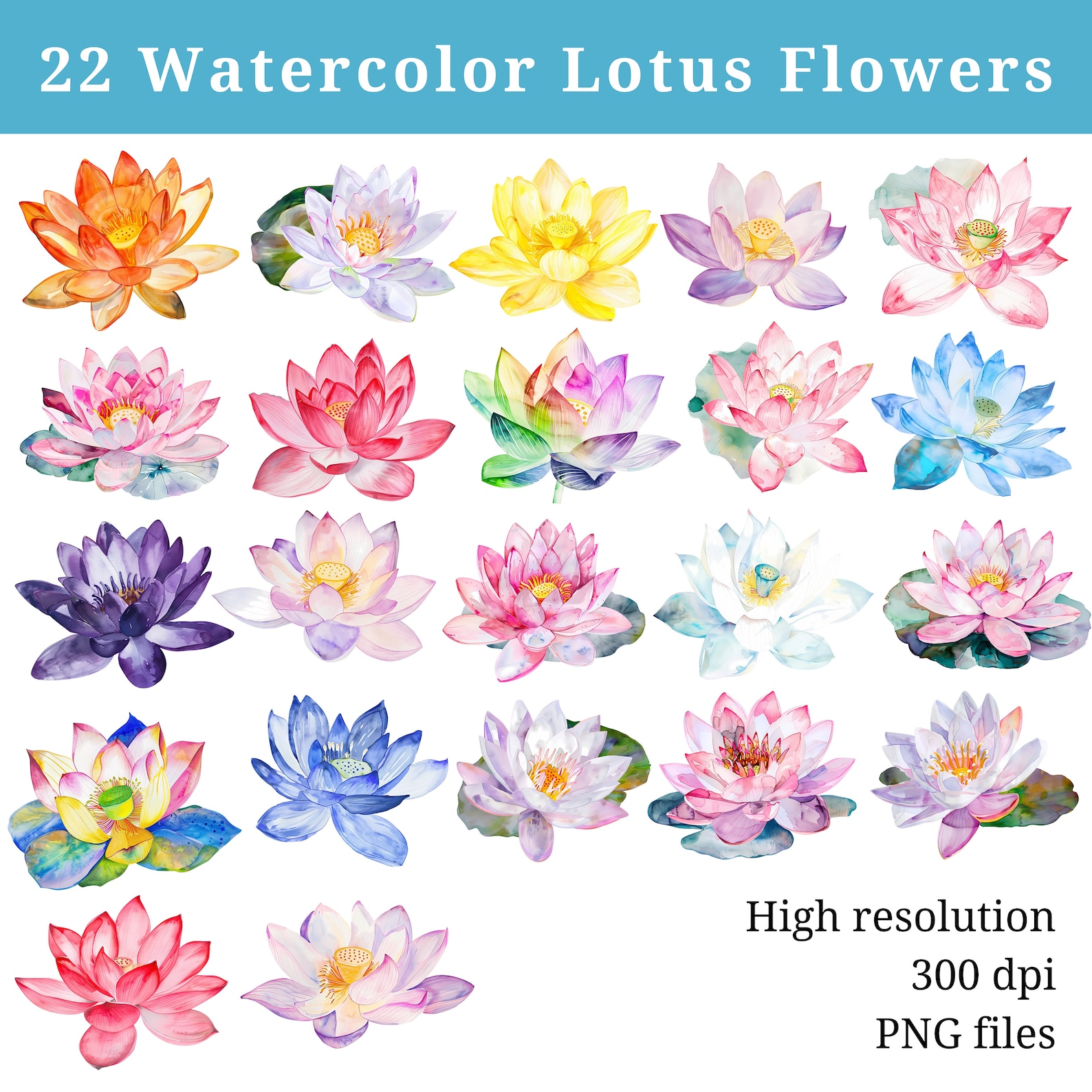 Watercolor Lotus Flower Clipart, Watercolour Clip Art, Water Lily ...