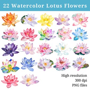 Watercolor Lotus Flower Clipart, Watercolour Clip Art, Water Lily ...