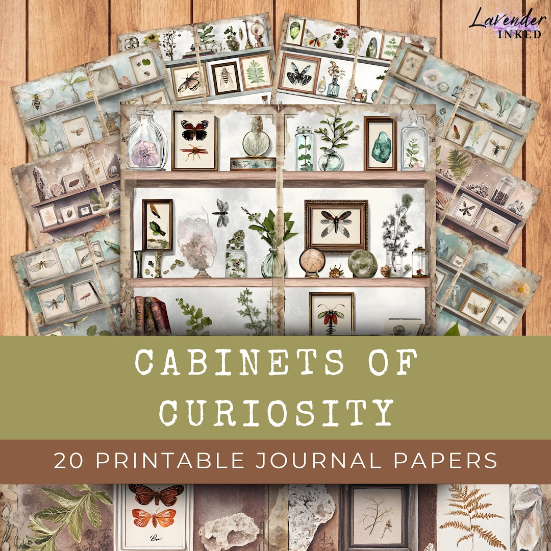 Cabinet of Curiosities Junk Journal Papers, Printable Digital Pages ...