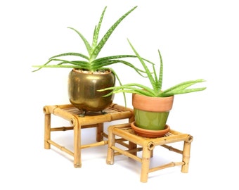 Bamboo display stand | Etsy