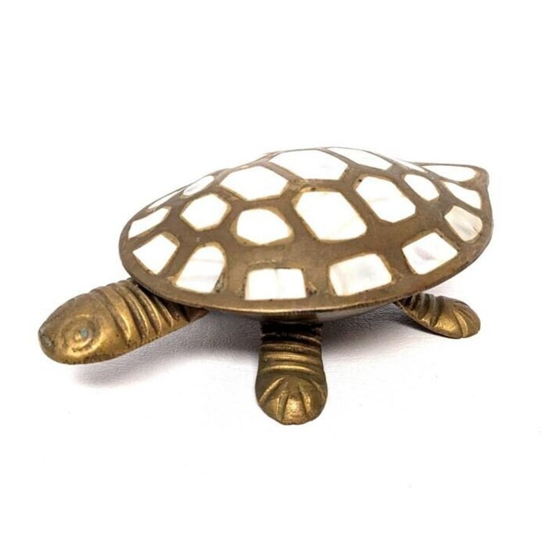 Turtle Trinket Box - Etsy