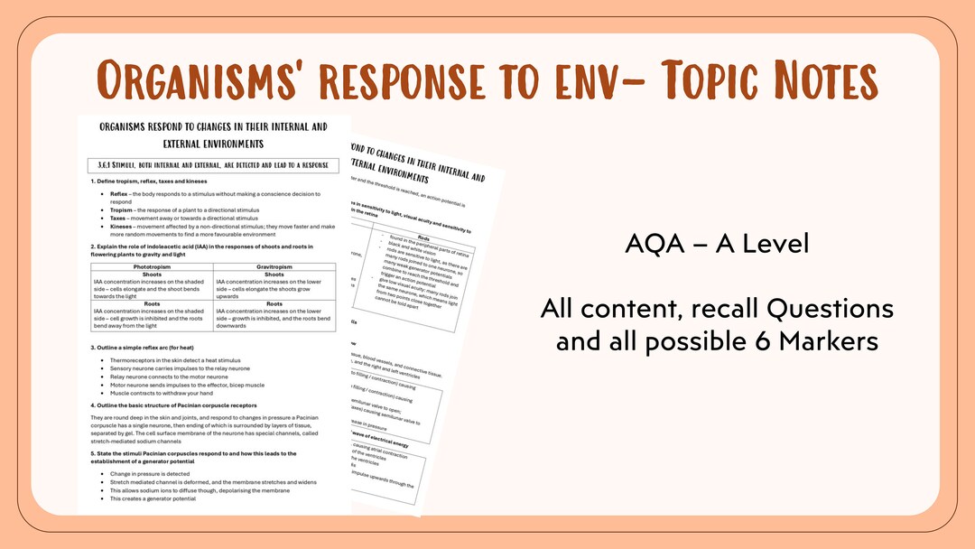 A Level Biology AQA Topic 6 Full Notes - Etsy