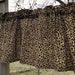 Curtains Leopard Valance Jungle Safari Wildlife Cat Cheetah - Etsy