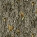 Wood Bark Fabric Nature Tree Bark Fabric Gray Tree Woods Landscape ...