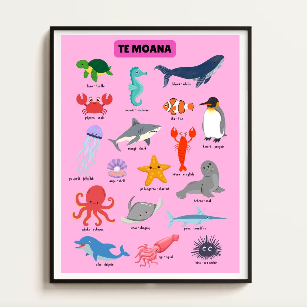 Te Reo Māori Sea Animals Poster | Ocean Creature Names in Māori ...