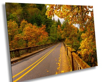 Autumn Oregon Trees, Landscape Photography, Fall Landscape, Fall Print ...