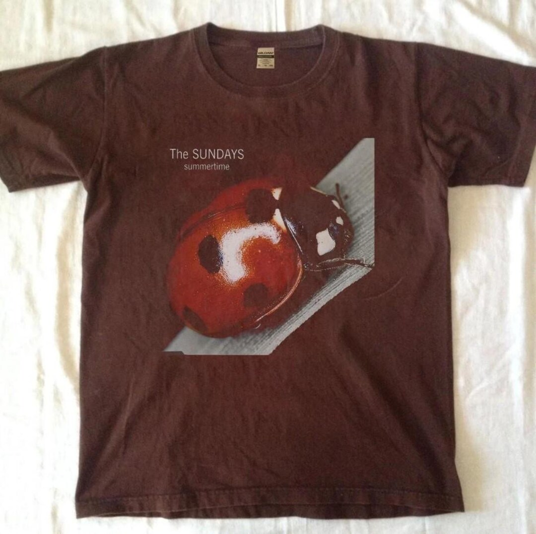The Sundays T-shirt, Retro Graphic Tees, 90s Band Tees, the Sundays ...