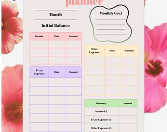 Digital Money Planner, Budget Planner - Etsy