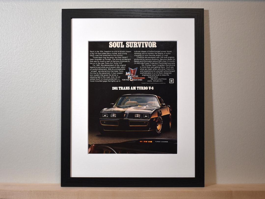 1981 Pontiac Trans Am Turbo V-8 (available GALLERY FRAMED!) Vintage ...