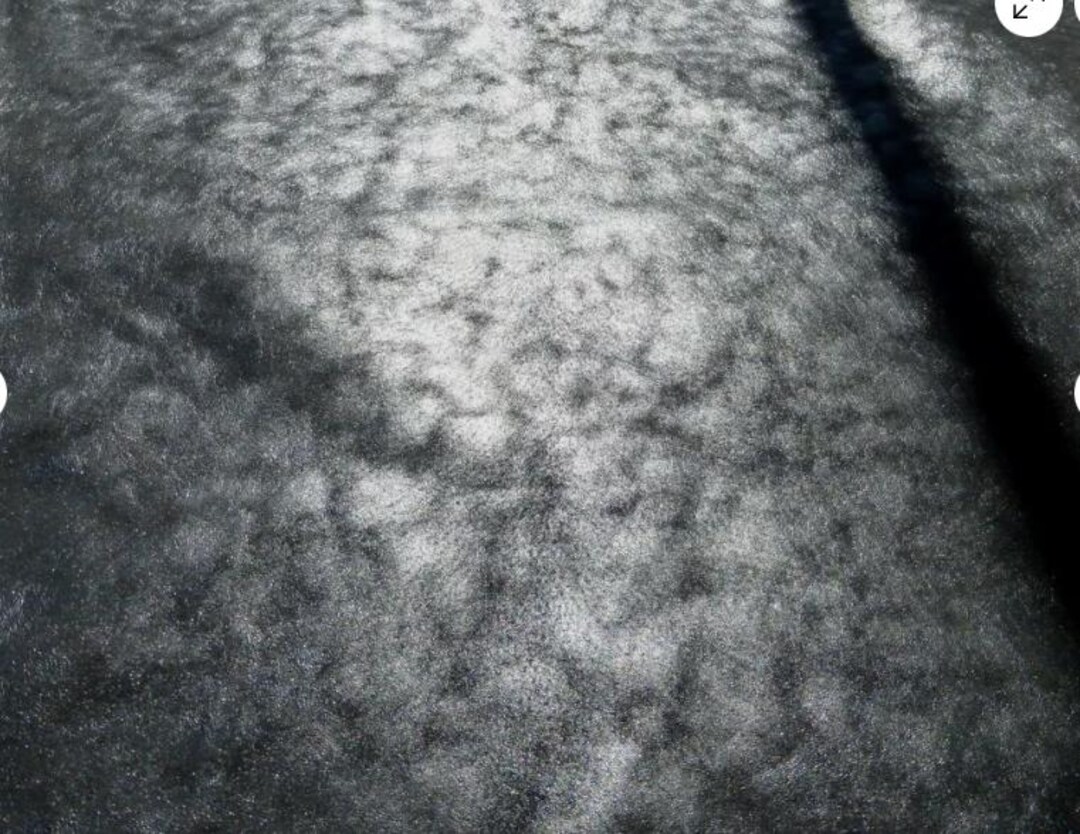 Pigskin Leather XXL Hide Mottled Black Shimmering Antiqued Vintage ...