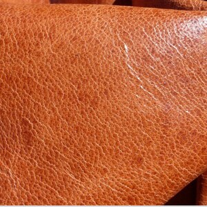 Genuine Camel Leather Hide Burnt Orange Grainy Texture Smooth Finish ...