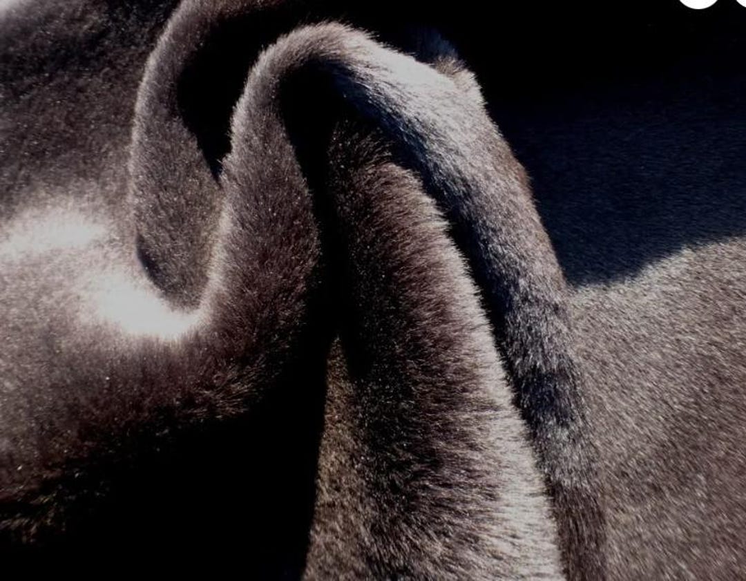 Sheepskin Shearling Leather Hide Thin Dark Brown Silky Hair W/grainy ...