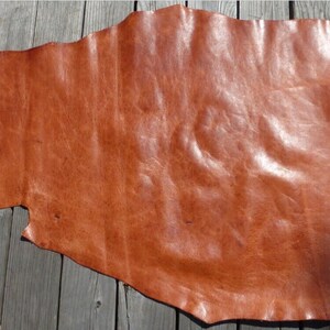 Genuine Camel Leather Hide Burnt Orange Grainy Texture Smooth Finish ...