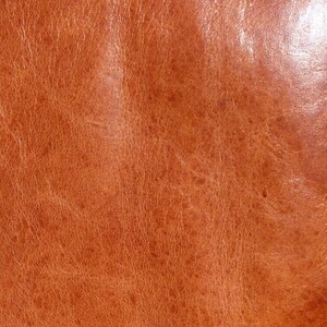 Genuine Camel Leather Hide Burnt Orange Grainy Texture Smooth Finish ...