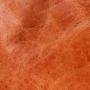 Genuine Camel Leather Hide Burnt Orange Grainy Texture Smooth Finish ...