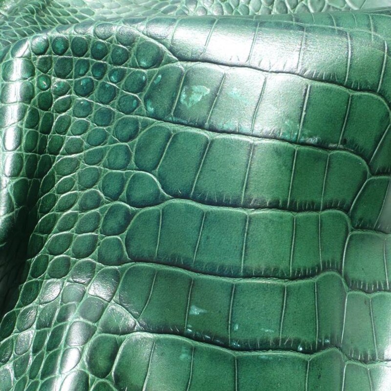 Alligator Embossed - Etsy