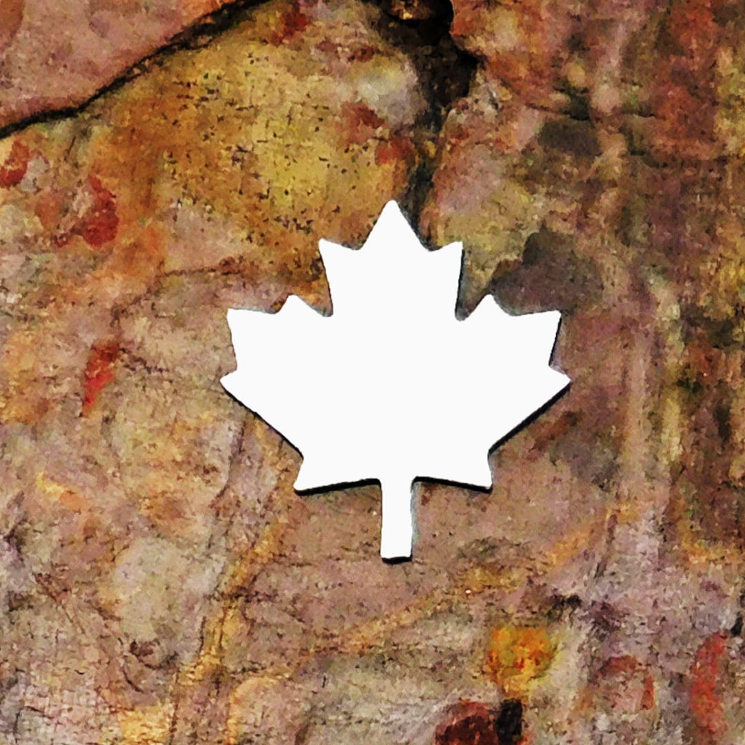 MAPLE LEAF Stamping Blanks 5 Qty Canada 1 1/4" *choose Your Metal ...