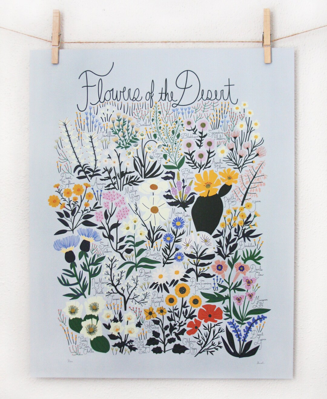 Flowers of the Desert Poster - Etsy