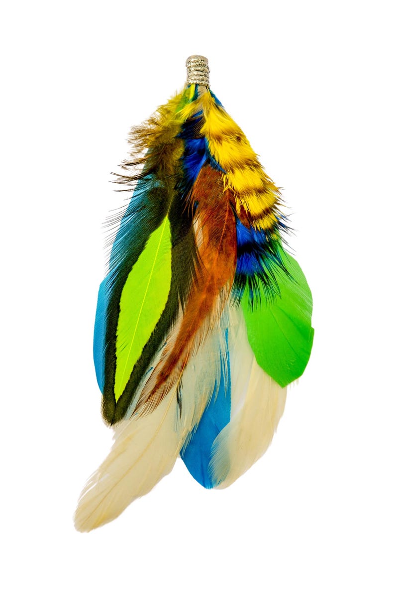 Feathers for Dogs, Feather Dog Extension, Dog Ear Feathers, Pet Hair ...