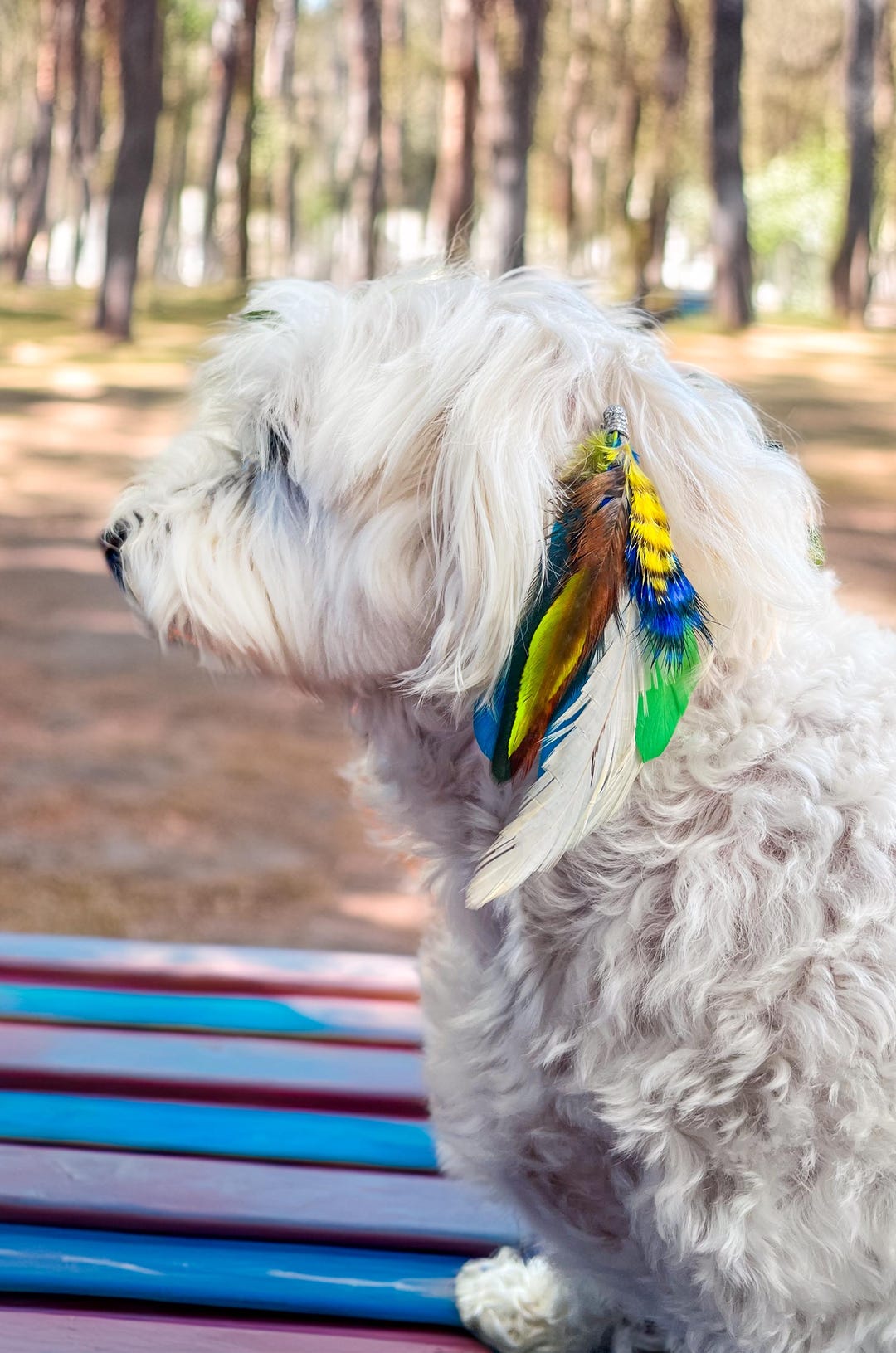 Feathers for Dogs, Feather Dog Extension, Dog Ear Feathers, Pet Hair ...
