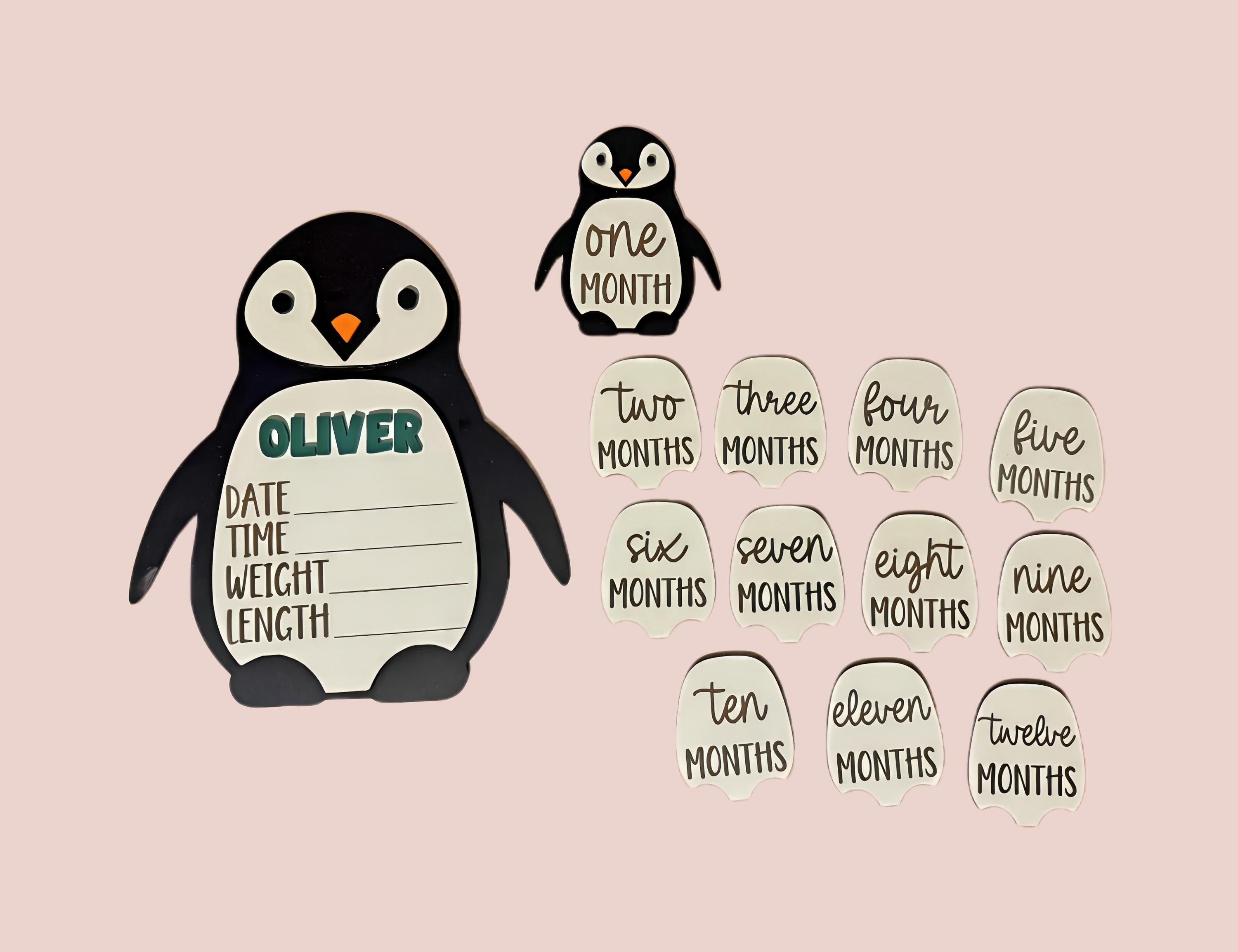 Penguin Milestone Set | Monthly Baby Milestone Markers | Custom Name ...