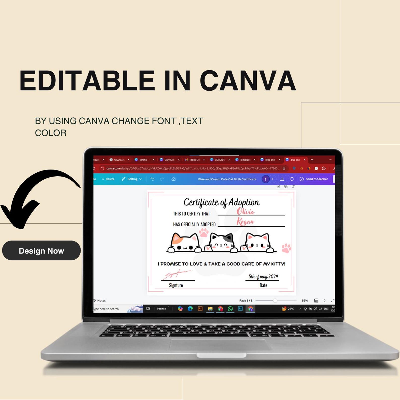 Editable Cat Adoption Certificate Template, Kitty Cat Pet Birthday ...