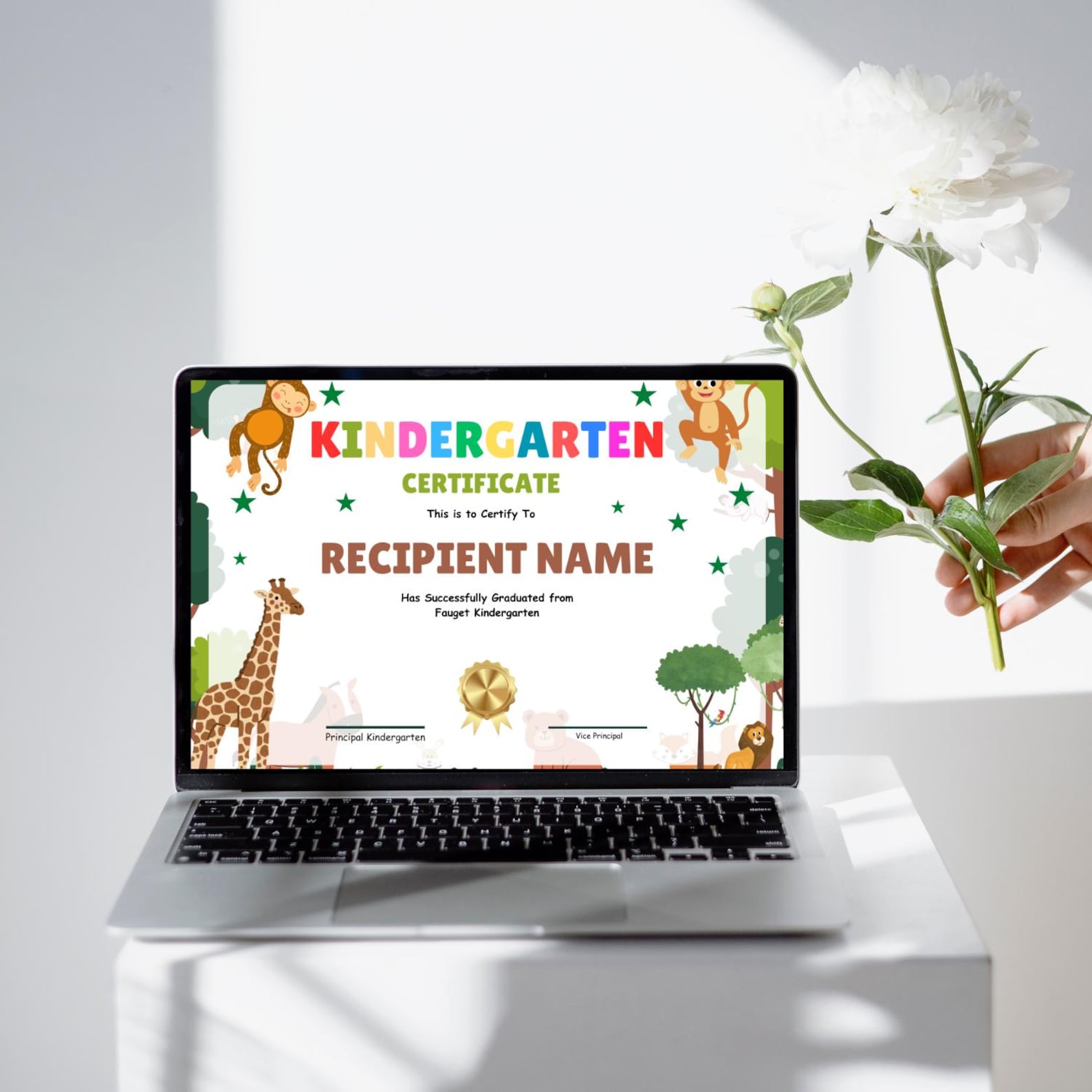 Editable Kindergarten Certificate Template, Graduation Certificate, Printable Certificate ...