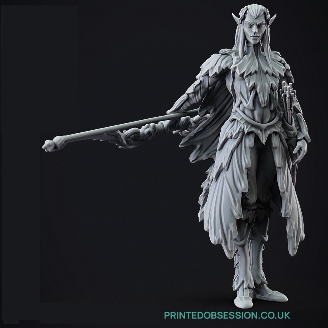 Eladrin Warlock Male