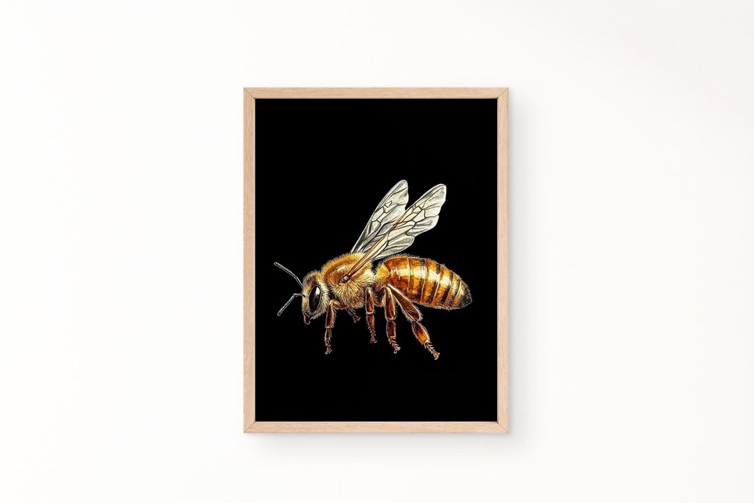 Bee Wall Art, Vintage Bee Print, Bee Home Decor, Honey Bee Print Poster ...