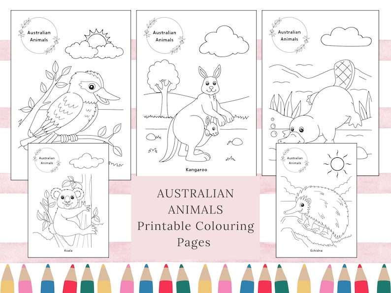 Australian Animals | Printable Colouring Pages | Preschool Activity ...