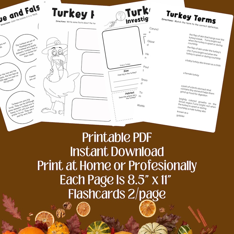 Turkey Unit Study Bundle, Homeschool Thanksgiving Activities (digital ...