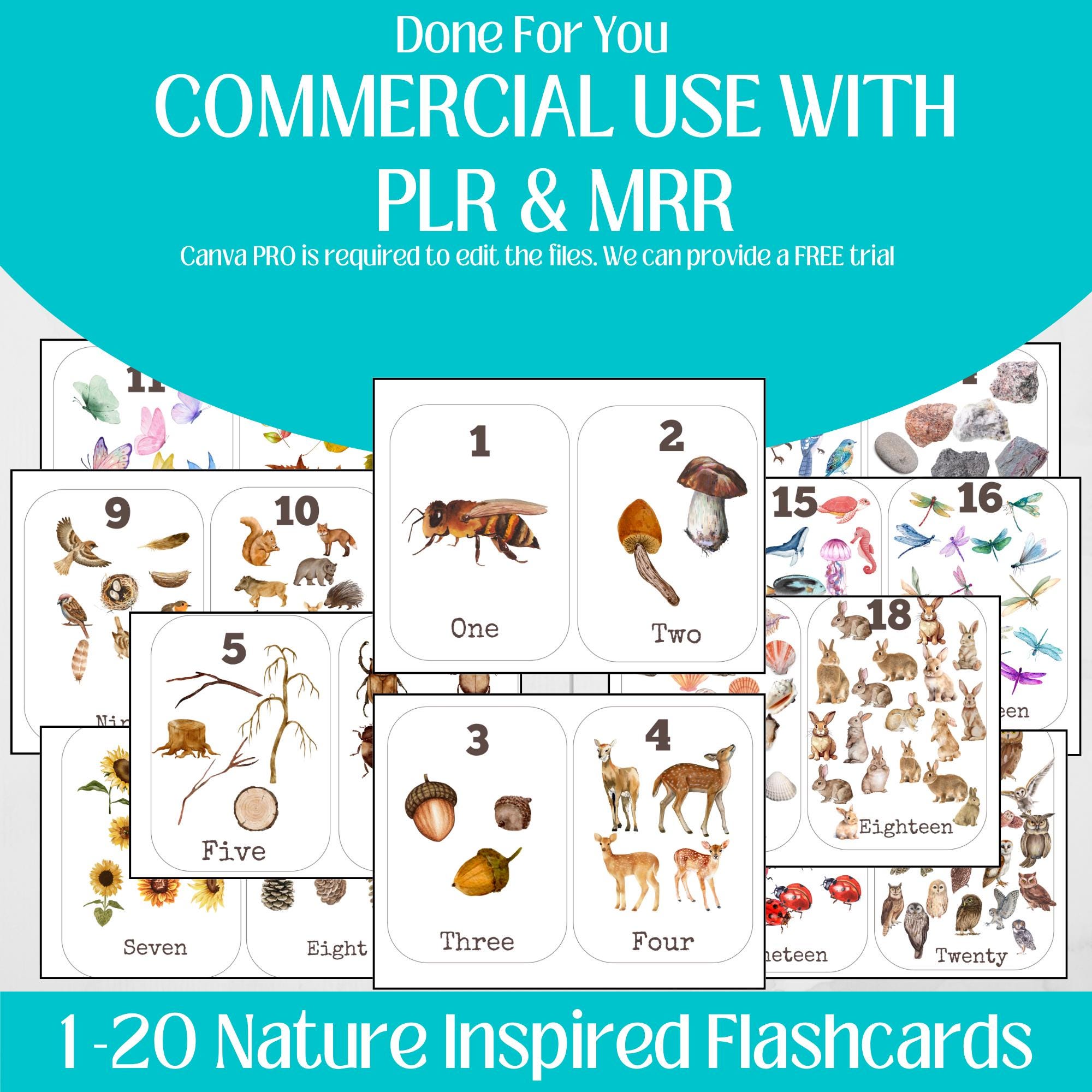 PLR Editable Nature Flashcards for Reggio Kids Classroom and ...