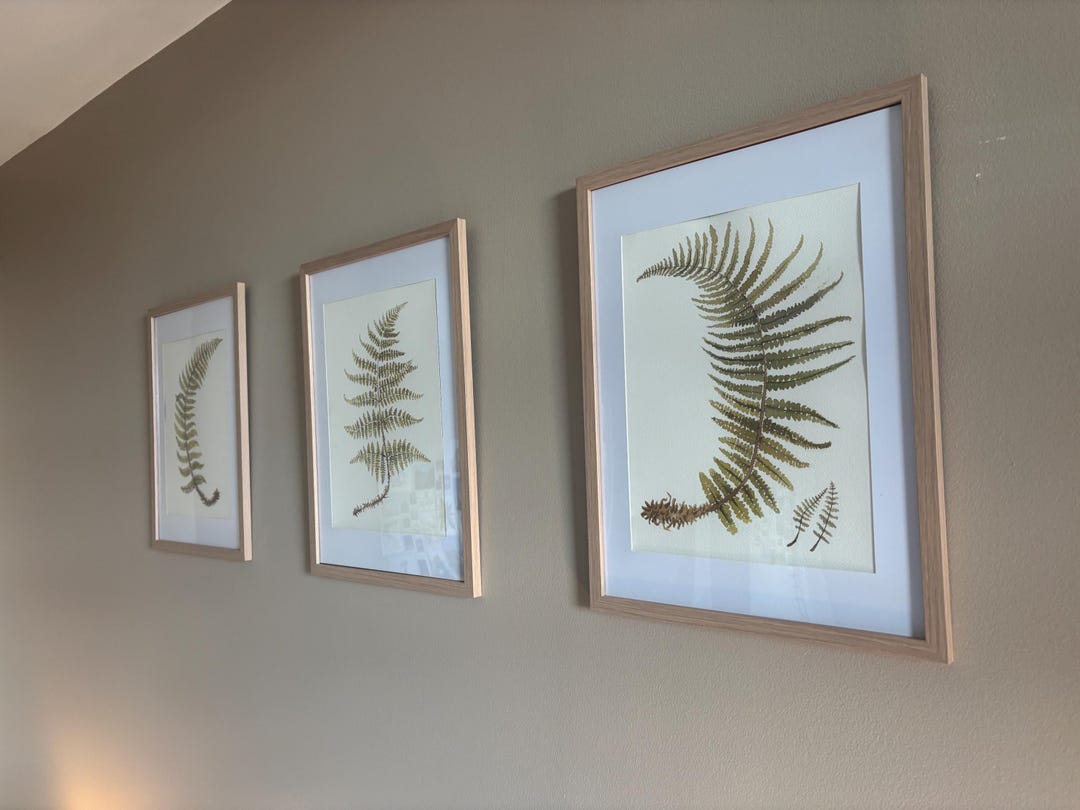 Fern Gallery Wall Art Prints of Original Watercolor Paintings, Set of ...