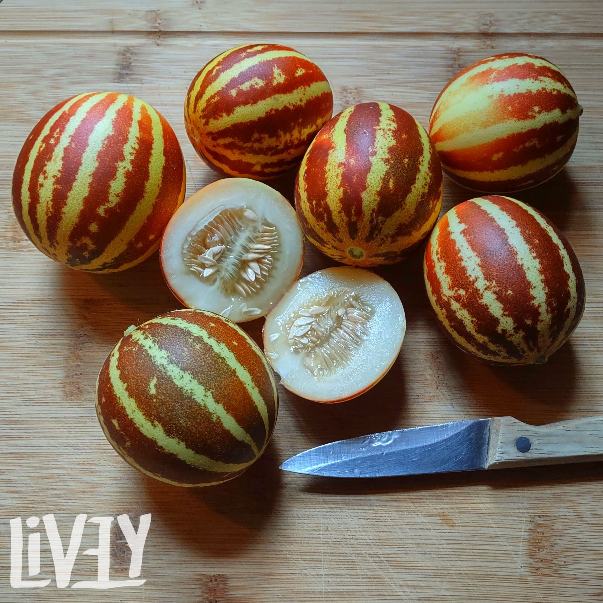 25+seeds Rich Sweet Melon Seeds Pocket Melon Striped Heavy Producer ...