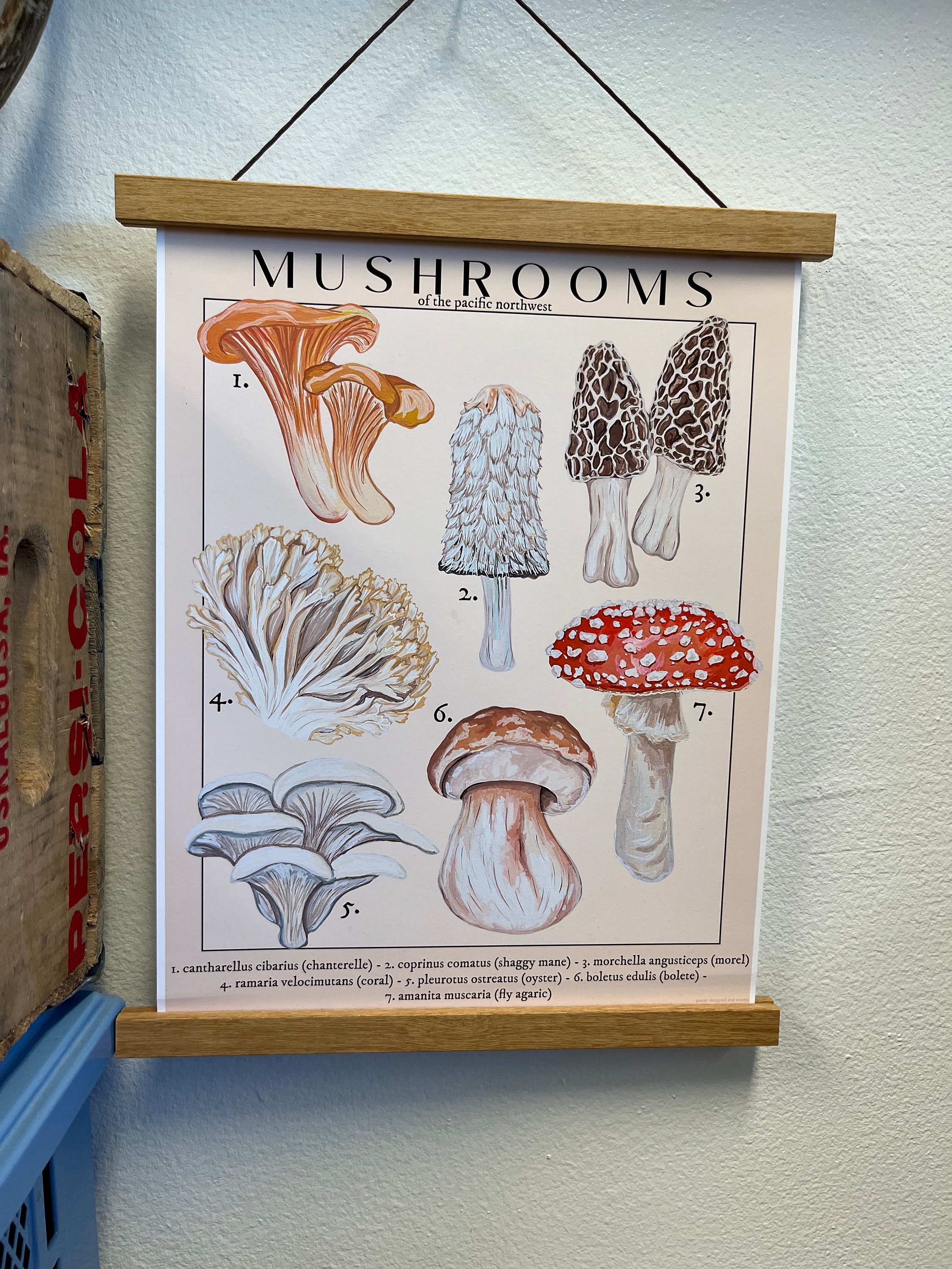 Native Fish of Idaho Scientific Poster With Magnetic Wall Hanging Style ...