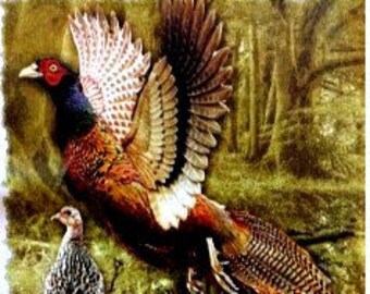 Pheasant Quilt Fabric - Etsy